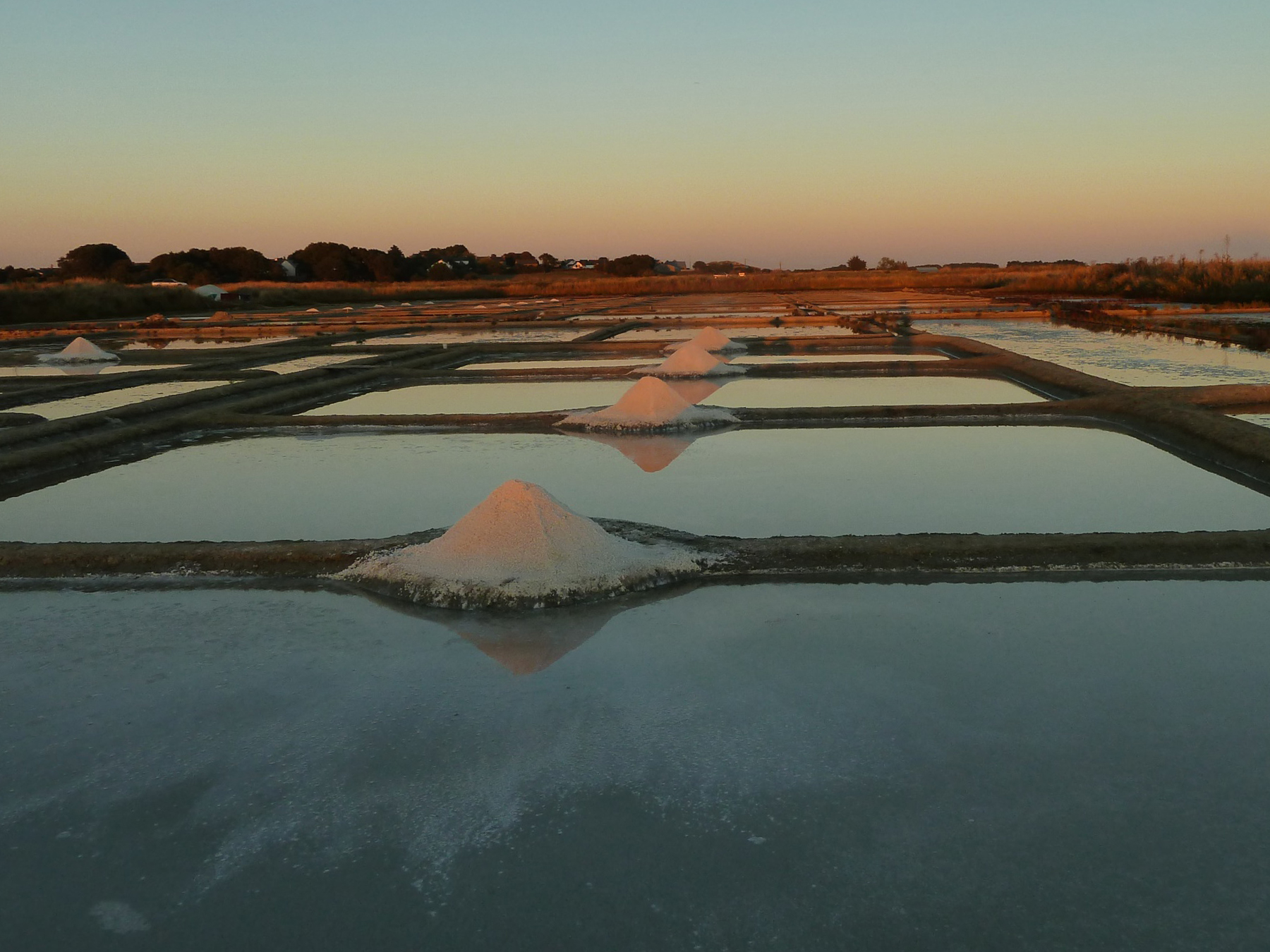 The Secrets of Salt, a Virtual Trip to Brittany - French Library