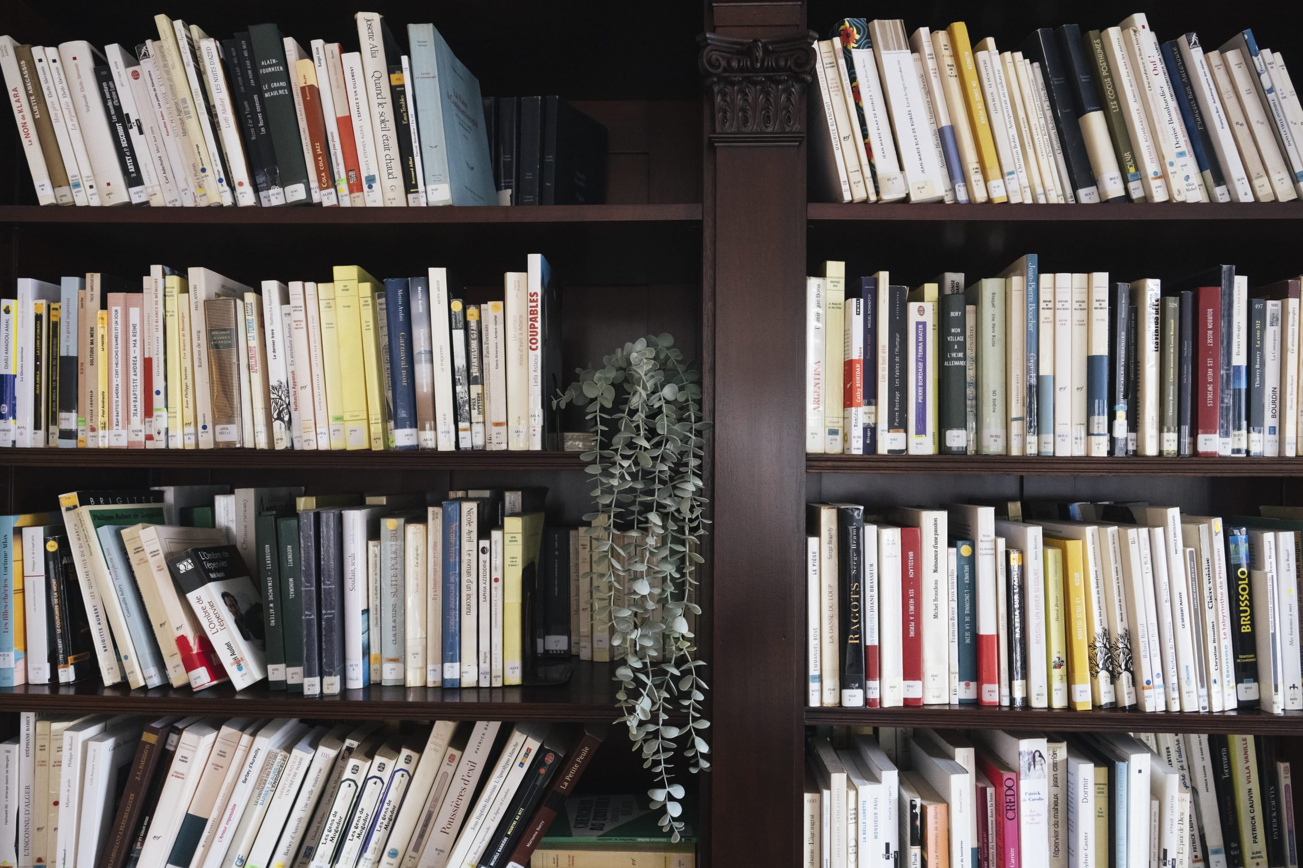 The French Library Launches an English Collection - French Library